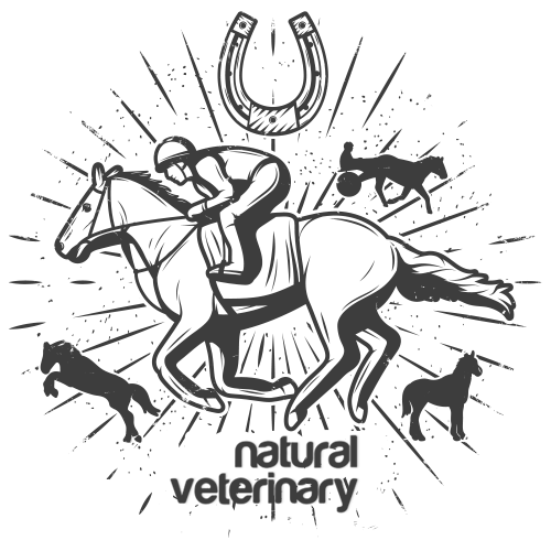 Dealers - Natural Veterinary International